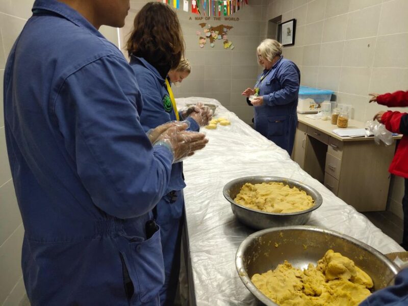 Panda Volunteer Project Day Trip(Wolong/Du Jiang Yan) - FAQ about the Panda Volunteer Project Day Trip