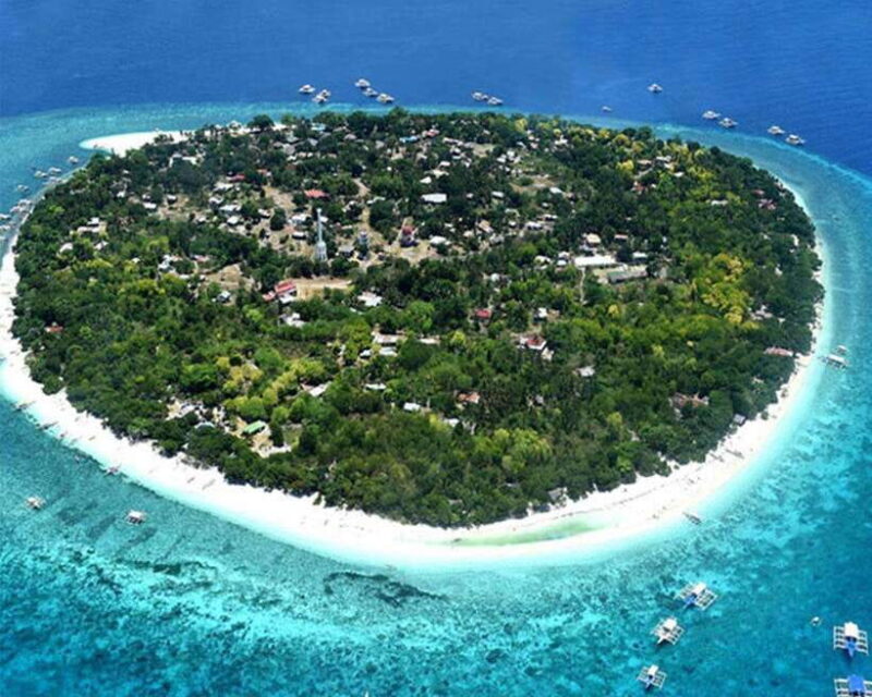 Panglao Bohol: Balicasag Island Hopping & Dolphin Watching - Is It Worth the Price?