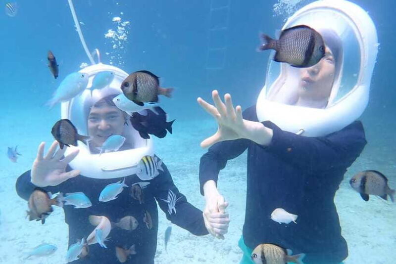 Panglao: Helmet Diving Experience with Photos and Videos - What to Expect at Meeting and End Points