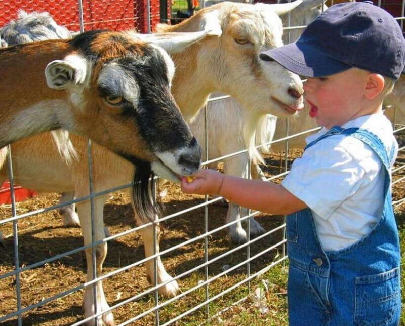 Panglao Island Escape: Cave Swim, White Sand Beach & More - Scenic Mangrove Forest Walk