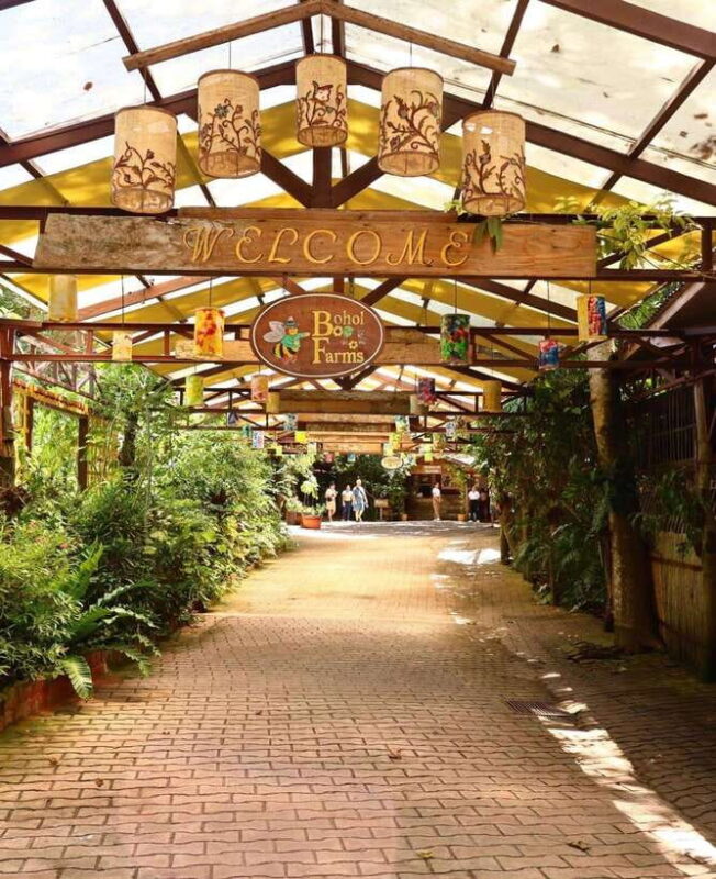 Panglao Island Escape: Cave Swim, White Sand Beach & More - How the Tour Works