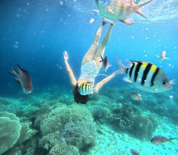 Panglao: Island Hopping w/Balicasag (Shared) - Whats Included and Whats Not