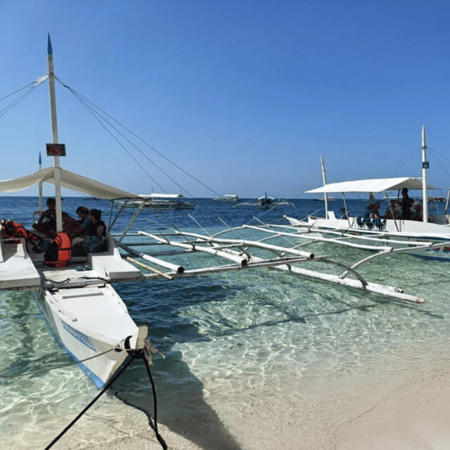 Panglao: Island Hopping w/Balicasag (Shared) - Practical Tips for Travelers