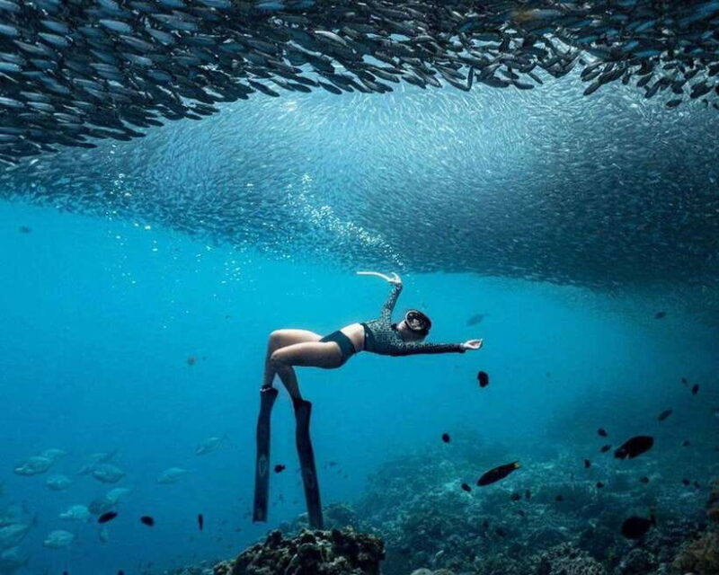 Panglao: Napaling Reef and Sardines Freediving Experience - Key Points