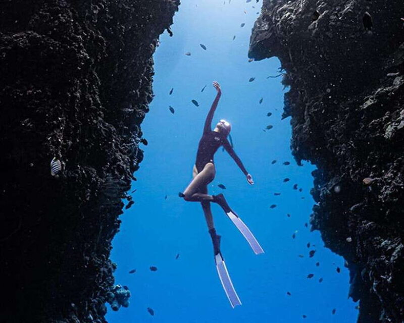 Panglao: Napaling Reef and Sardines Freediving Experience - The Itinerary Breakdown