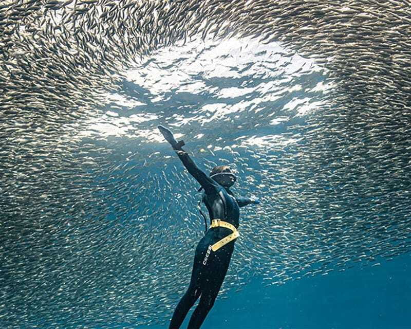 Panglao: Napaling Reef and Sardines Freediving Experience - FAQ
