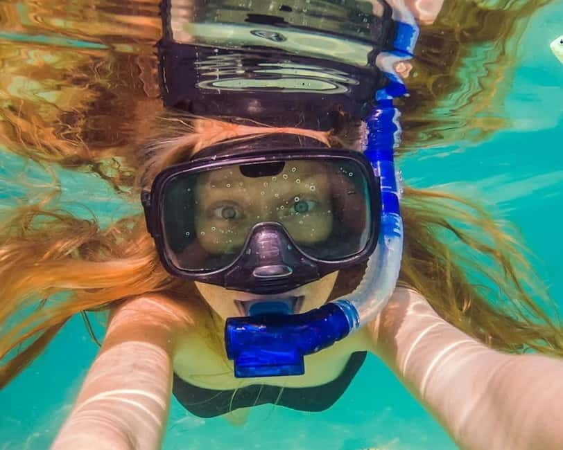 Panglao: Snorkeling at NapalingReef with Sardines Experience - An In-Depth Look at the Panglao Snorkeling Experience