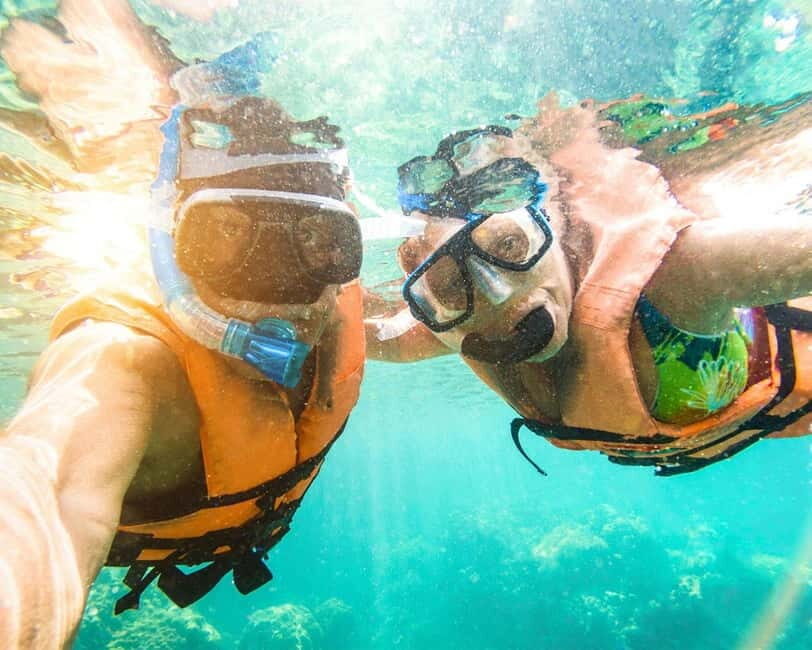 Panglao: Snorkeling at NapalingReef with Sardines Experience - Final Thoughts