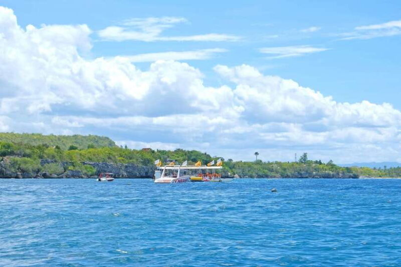 Panglao: Solo or Tandem Parasailing Experience near Alona - Key Points