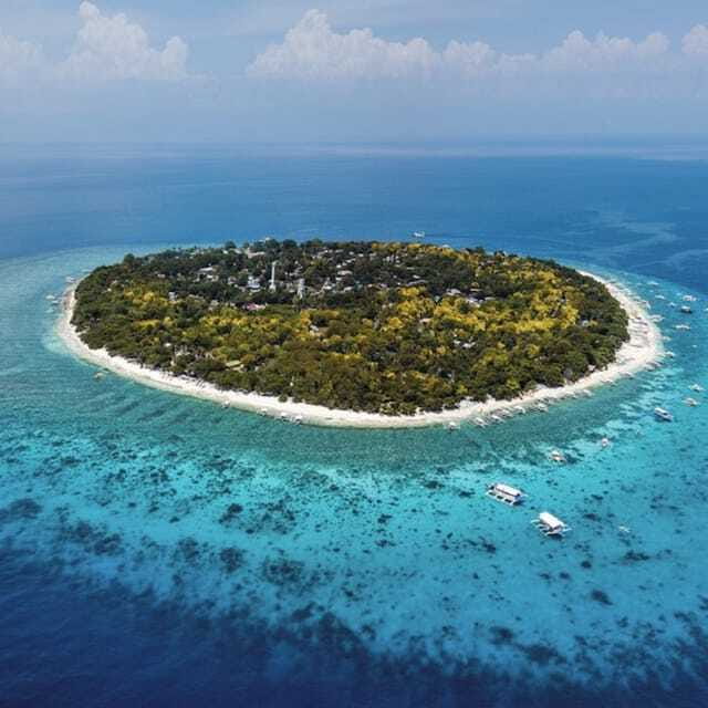 Panglao:Balicasag Island Tour with Turtle & Dolphin Watching - Key Points