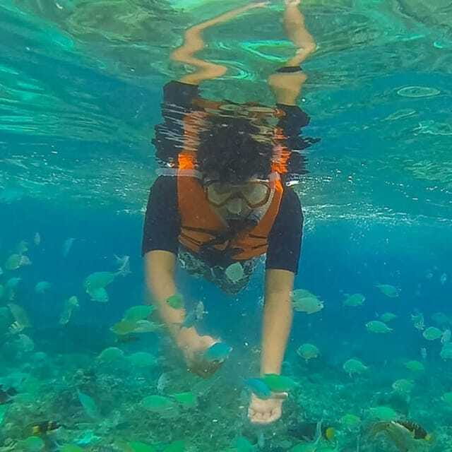 Panglao:Balicasag Island Tour with Turtle & Dolphin Watching - How the Experience Feels in Practice