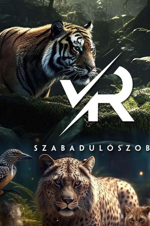 PÁNiQ-SZOBA | VR Escape Rooms by PANiQ ROOM in Budapest - What Is PÁNiQ-SZOBA VR Escape Rooms?