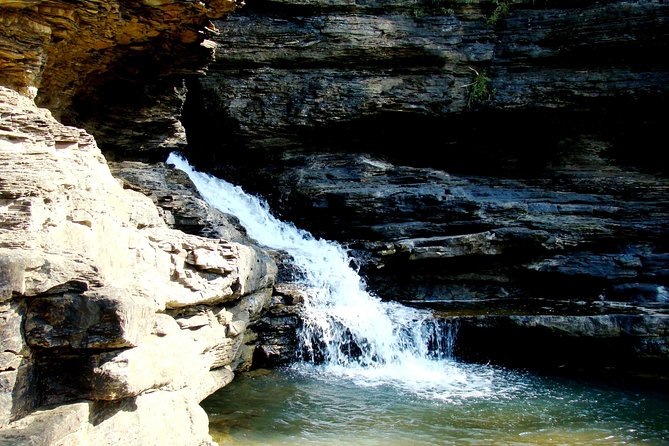 Panna Tiger Reserve Tour from Khajuraho - Who Should Book This Tour?