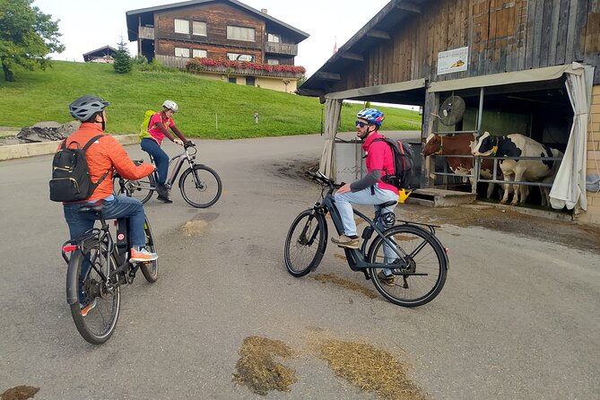 Panoramic E-Bike Tour With a Lake Cruise - Learning About the Swiss Legend William Tell