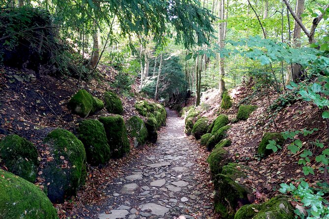 Panoramic E-Bike Tour With a Lake Cruise - Visiting the Victorinox Swiss Army Knife Visitor Center
