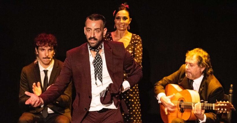 Panoramic Guadalquivir Cruise + Flamenco Show & Walking tour - Flamenco: The Heartbeat of Andalusia