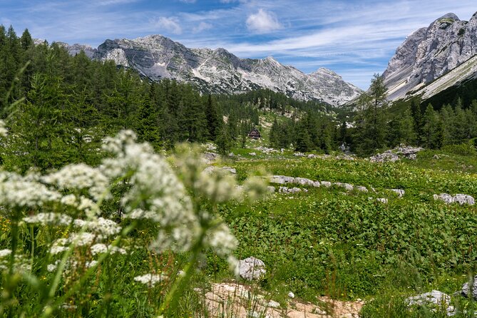Panoramic hike in Julian Alps - Why This Tour Offers Great Value