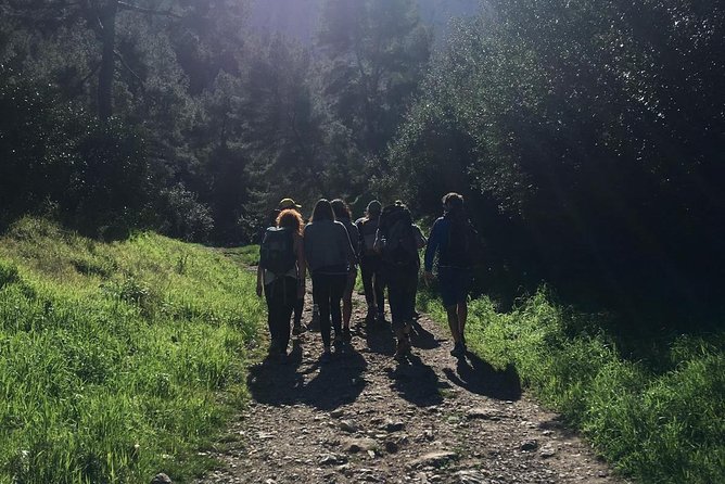Panoramic hike on Marseille from Les Calanques - The Sum Up