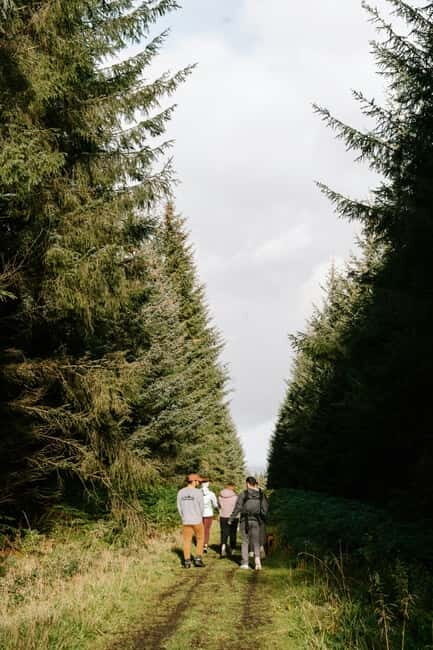 Panoramic hiking in the Florentine hills with Vincenzo - Exploring Tuscany’s Hidden Corners with Vincenzo