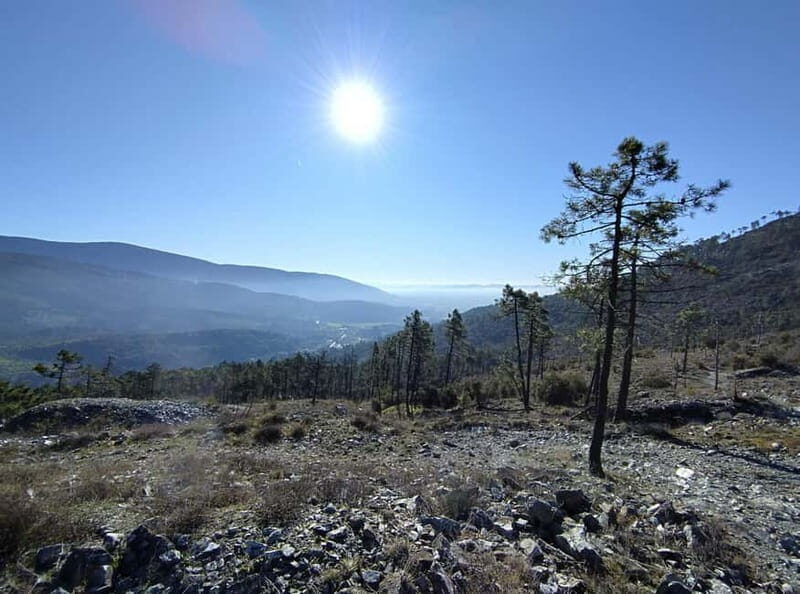 Panoramic hiking in the Florentine hills with Vincenzo - Final Thoughts: Who’s This Tour For?