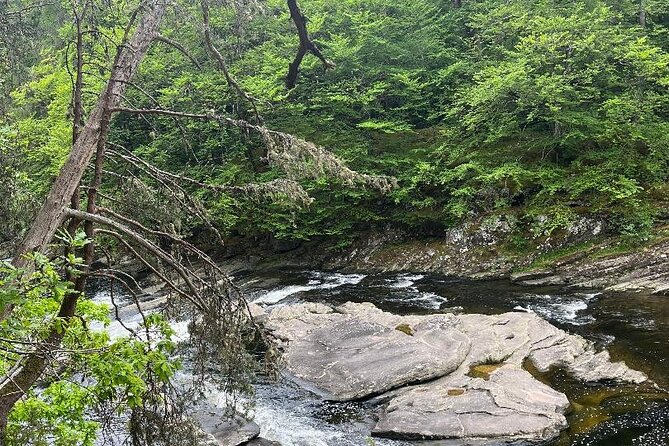 Panoramic Loch Ness Private Tour - FAQs