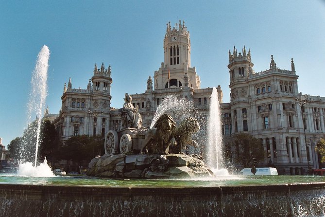 Panoramic Madrid Sightseeing Tour - Accessibility and Participation