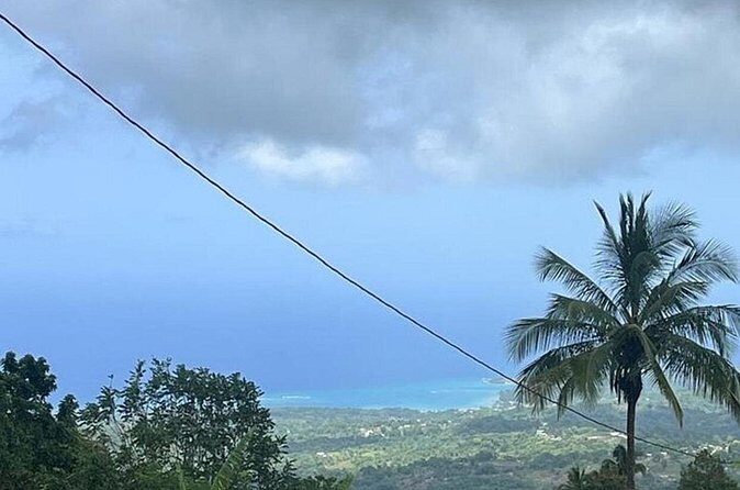 Panoramic Ocho Highlight and Museum from Cruise Port and Hotels - The Sum Up: Who Is This Tour Best For?