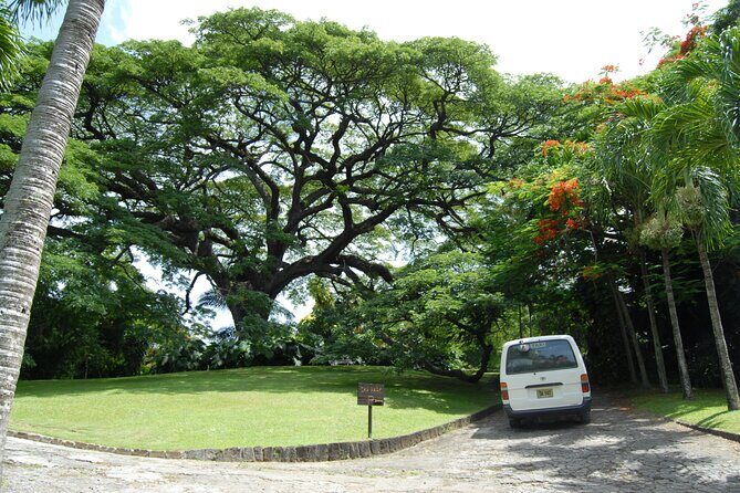 Panoramic Plus - The Itinerary: What to Expect