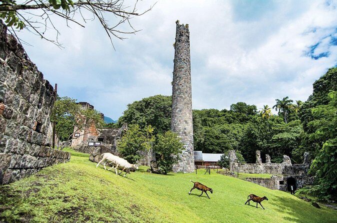 Panoramic Plus - Final Thoughts