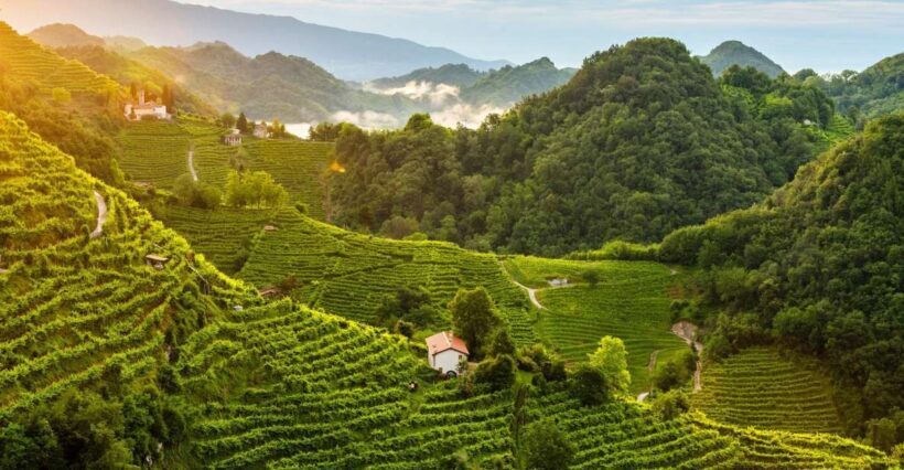Panoramic Prosecco Tasting Tour From Padua - Introduction and Why This Tour Stands Out