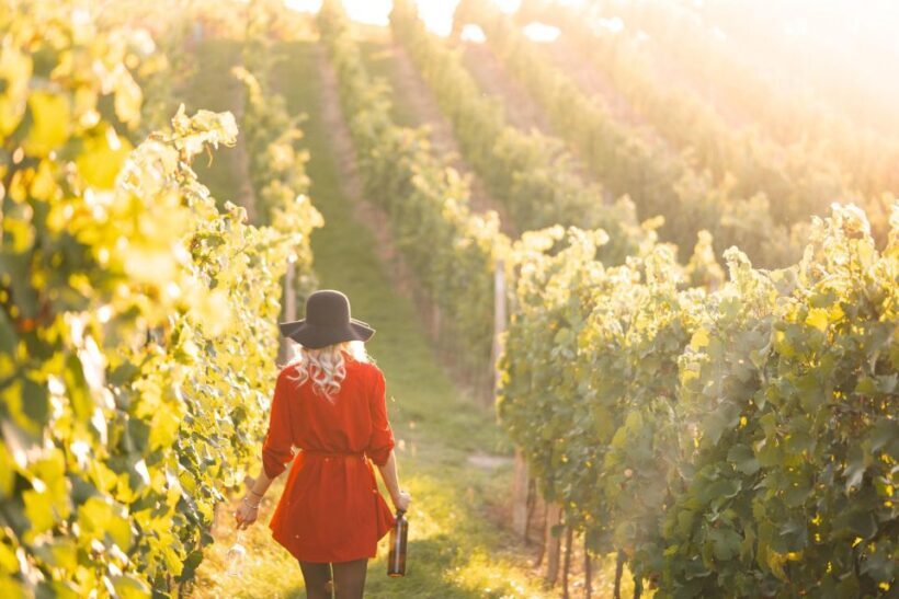 Panoramic Prosecco Tasting Tour From Padua - What Makes This Tour Unique and Valuable