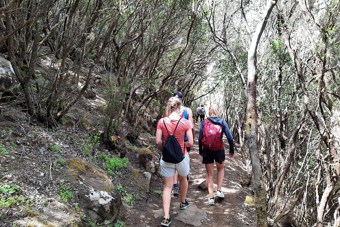 Panoramic Route Across the Teno Rural Park in Tenerife - Discovering Tenerifes Natural Wonders