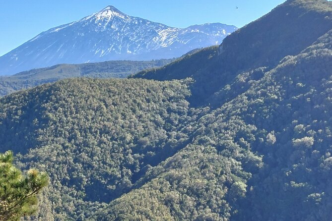 Panoramic Route Across the Teno Rural Park in Tenerife - Preparing for the Hike
