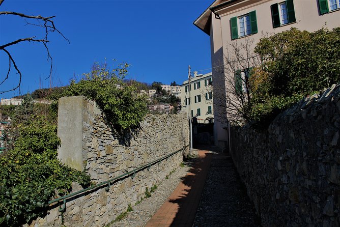 Panoramic Tour Across the Creuze With a Storyteller - Exploring the Creuze
