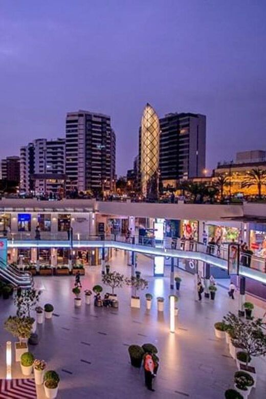 Panoramic tour of Lima - The Experience: What to Expect During the Tour