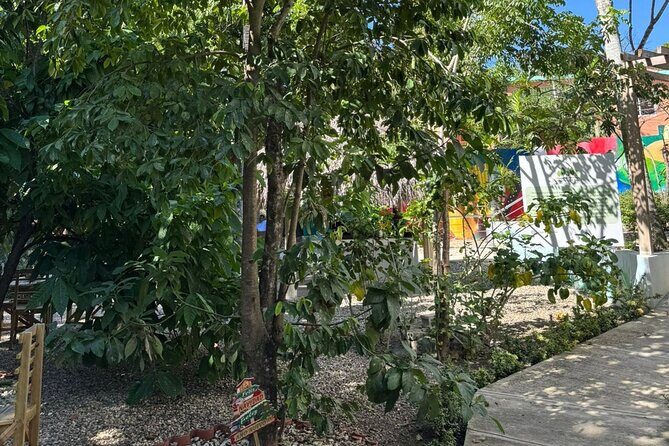 Panoramic Tour of the Reality of the Countryside and Village - The Sum Up