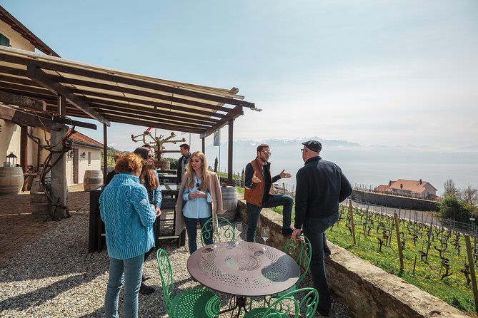 Panoramic Wine Tour From Lausanne - The Experience in Detail