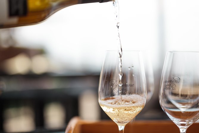 Panoramic Wine Tour From Lausanne - What the Price Gets You