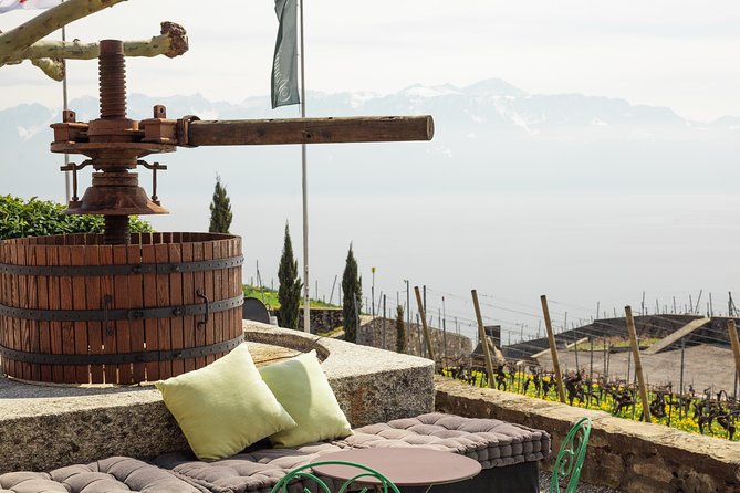 Panoramic Wine Tour From Lausanne - Final Thoughts