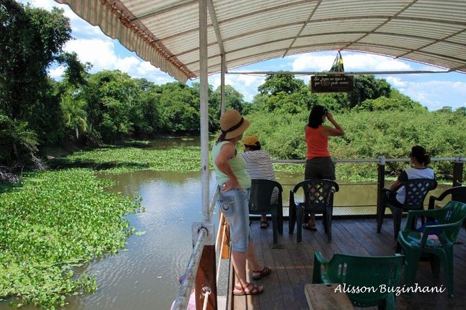 Pantanal Day Trip - All Inclusive - Leaving Campo Grande - Participation Guidelines and Accessibility
