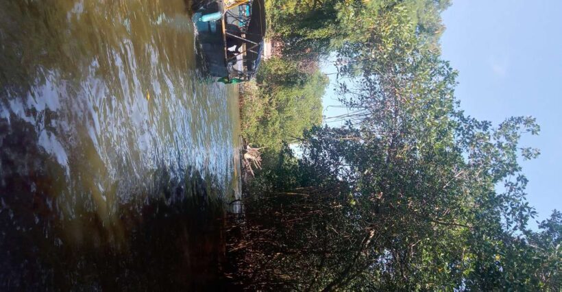 Pantanal of Rio de Janeiro - Key Points