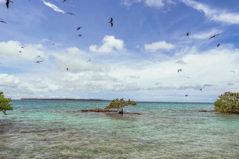 PAO PAO BEACH CLUB - The Food Experience