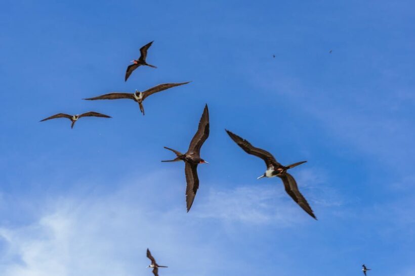 PAO PAO BEACH CLUB - Facilities and Atmosphere