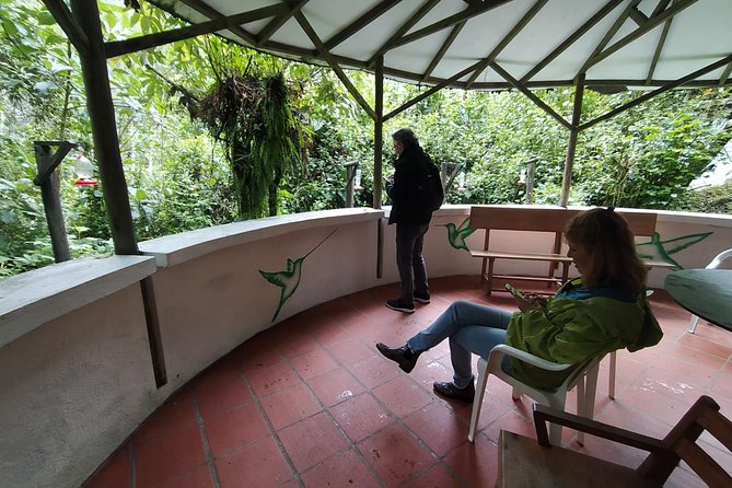 Papallacta Hot Spring, Guango Birdwatching Reserve Private Tour - Birdwatching at Guango Lodge