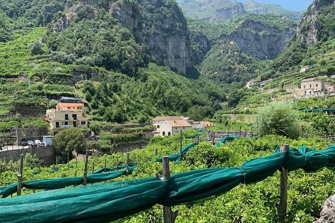 Papermills Valley including Ravello and Amalfi - The Sum Up: Who Will Love This Tour?