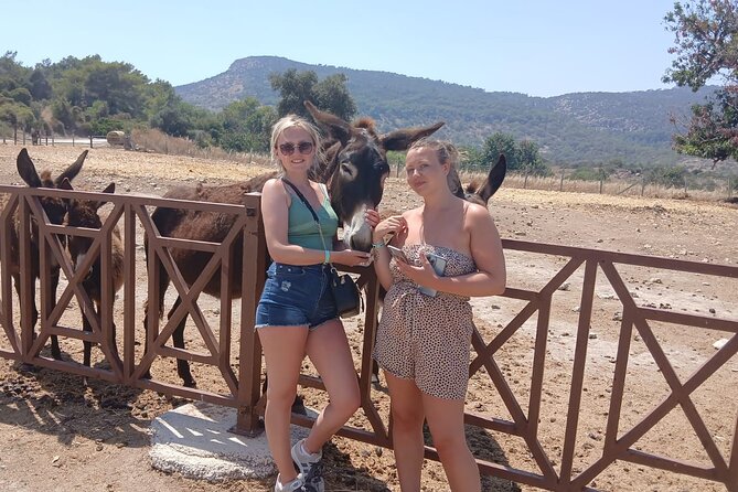 Paphos: Akamas Gorge & Turtle Bay & Donkey Farm Jeep Safari Tour - About Your Stay
