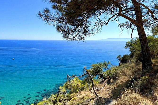 Paphos: Akamas Gorge & Turtle Bay & Donkey Farm Jeep Safari Tour - Tips for Making the Most of Your Safari Adventure