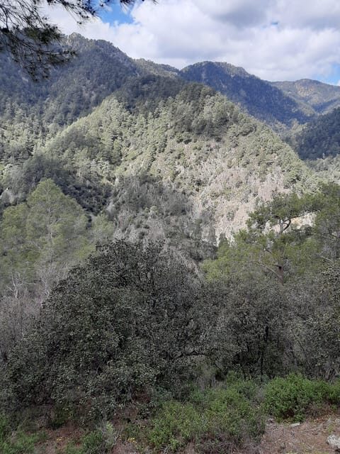 Paphos Cyprus Troodos Jeep safari in English in French too - FAQ