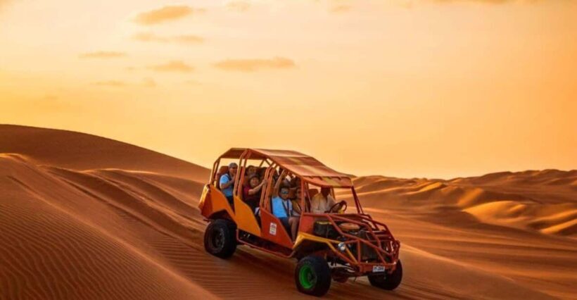 Paracas and Huacachina Full-Day Bus Tour - Who Will Love This Tour?