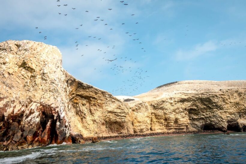 Paracas: Ballestas Island & Nature Reserve all inclusive - Final Thoughts